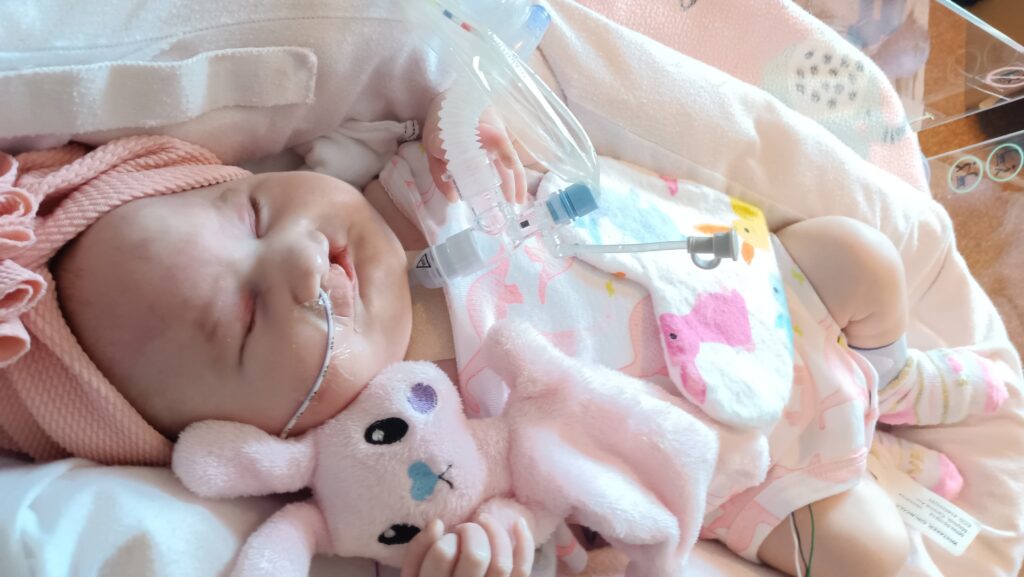 SOFT Member Spotlight - Nicole Whitaker | SOFT